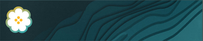 Destiny 2 - Harmonic Waves Emblem - Link Only – Destiny Emblems