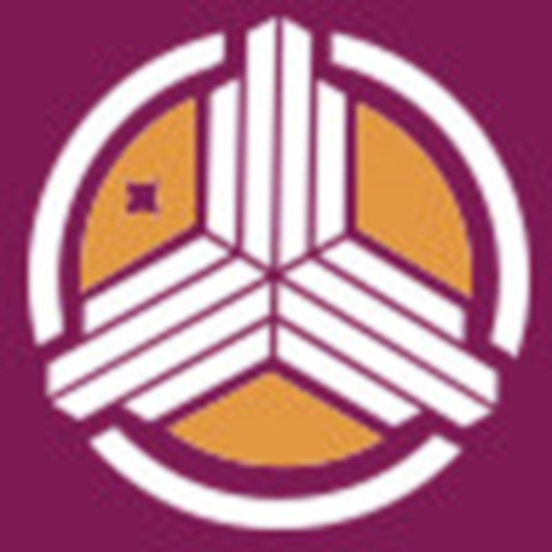 Destiny 2 - Shine Triumphant Emblem - Code Only – Destiny Emblems
