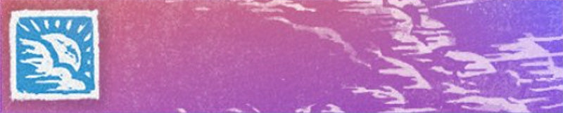 Destiny 2 - Through the Storm Emblem - Code Only – Destiny Emblems