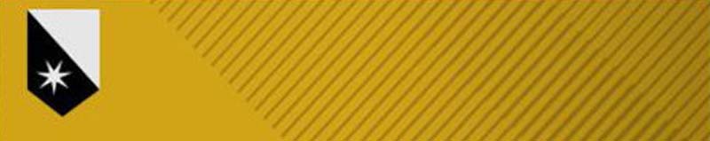 Destiny 2 - Peace Of The City Emblem - Code Only – Destiny Emblems