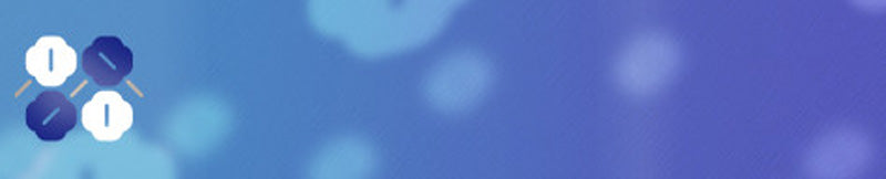 Destiny 2 - Side By Side Emblem - Code Only – Destiny Emblems